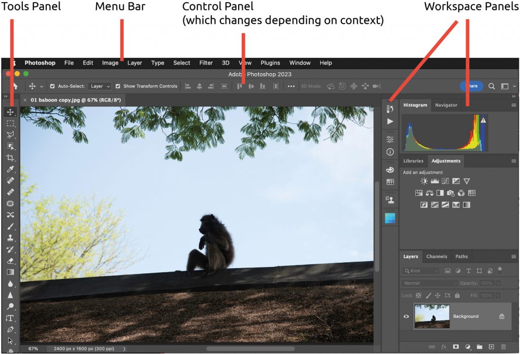 Photoshop Lesson 1 – Technical skills for graphic design